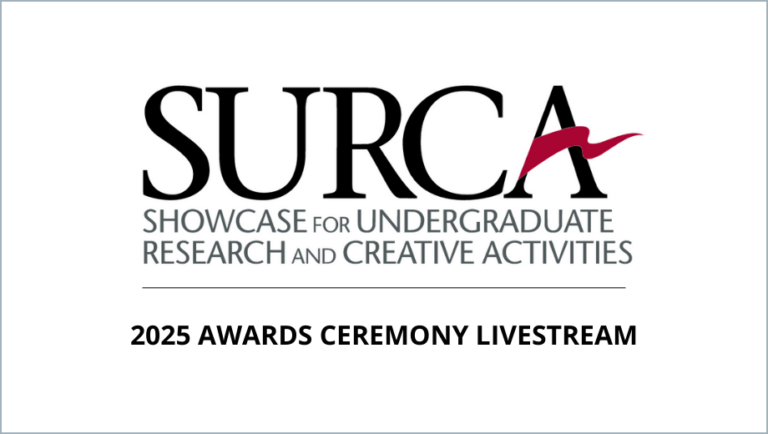 Global Connections | Washington State University