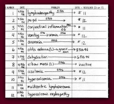 Problem Oriented Medical Records | Student Site | Washington State ...