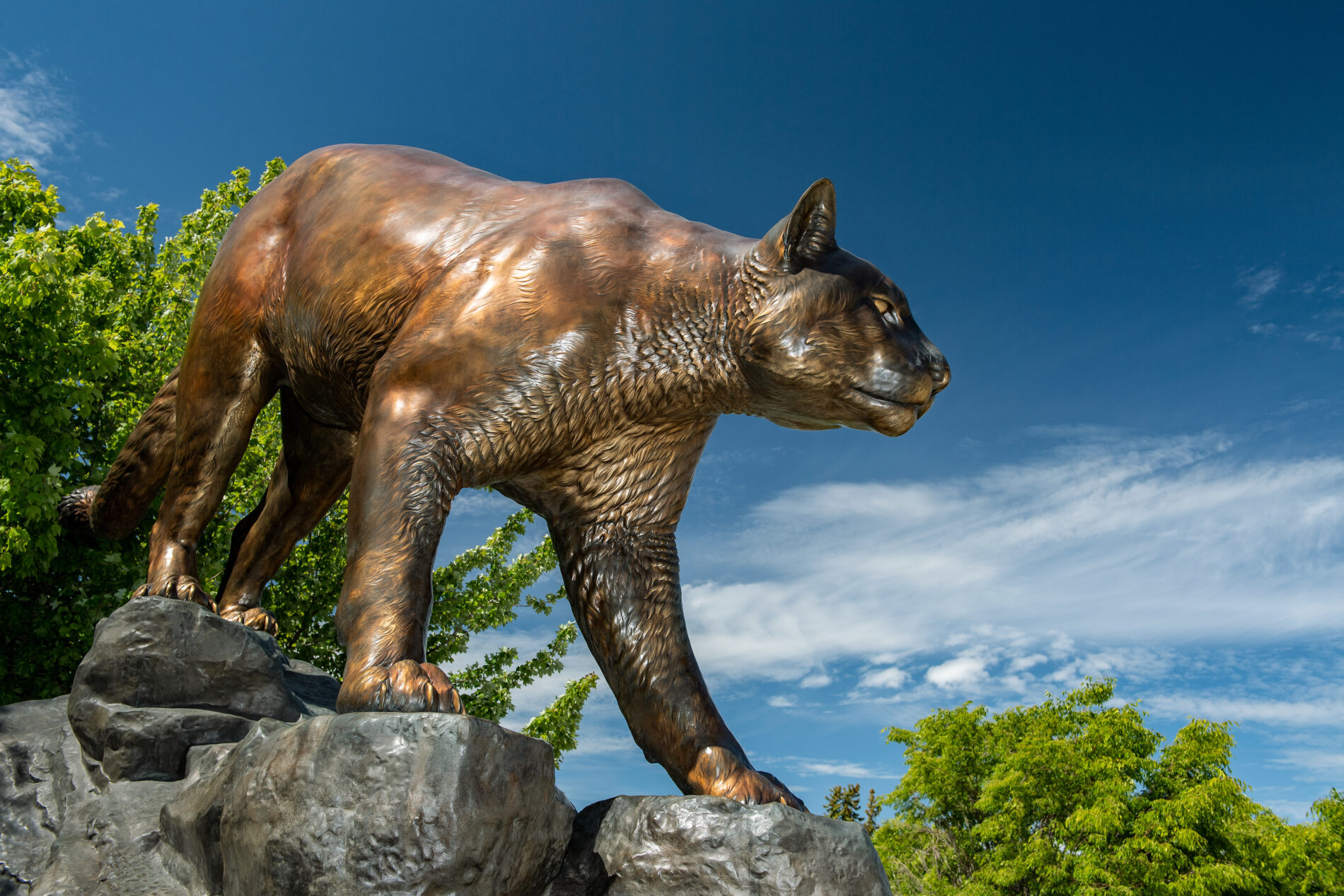 Information Technology Services | Washington State University