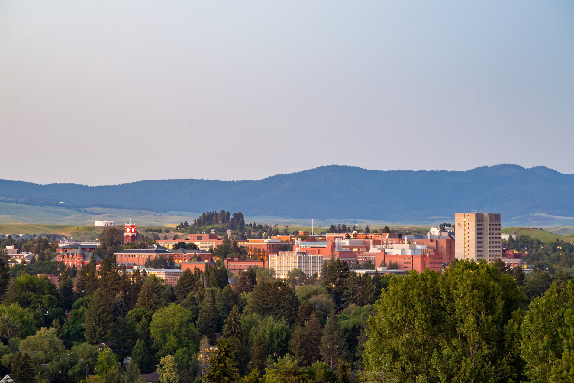 Information Technology Services | Washington State University