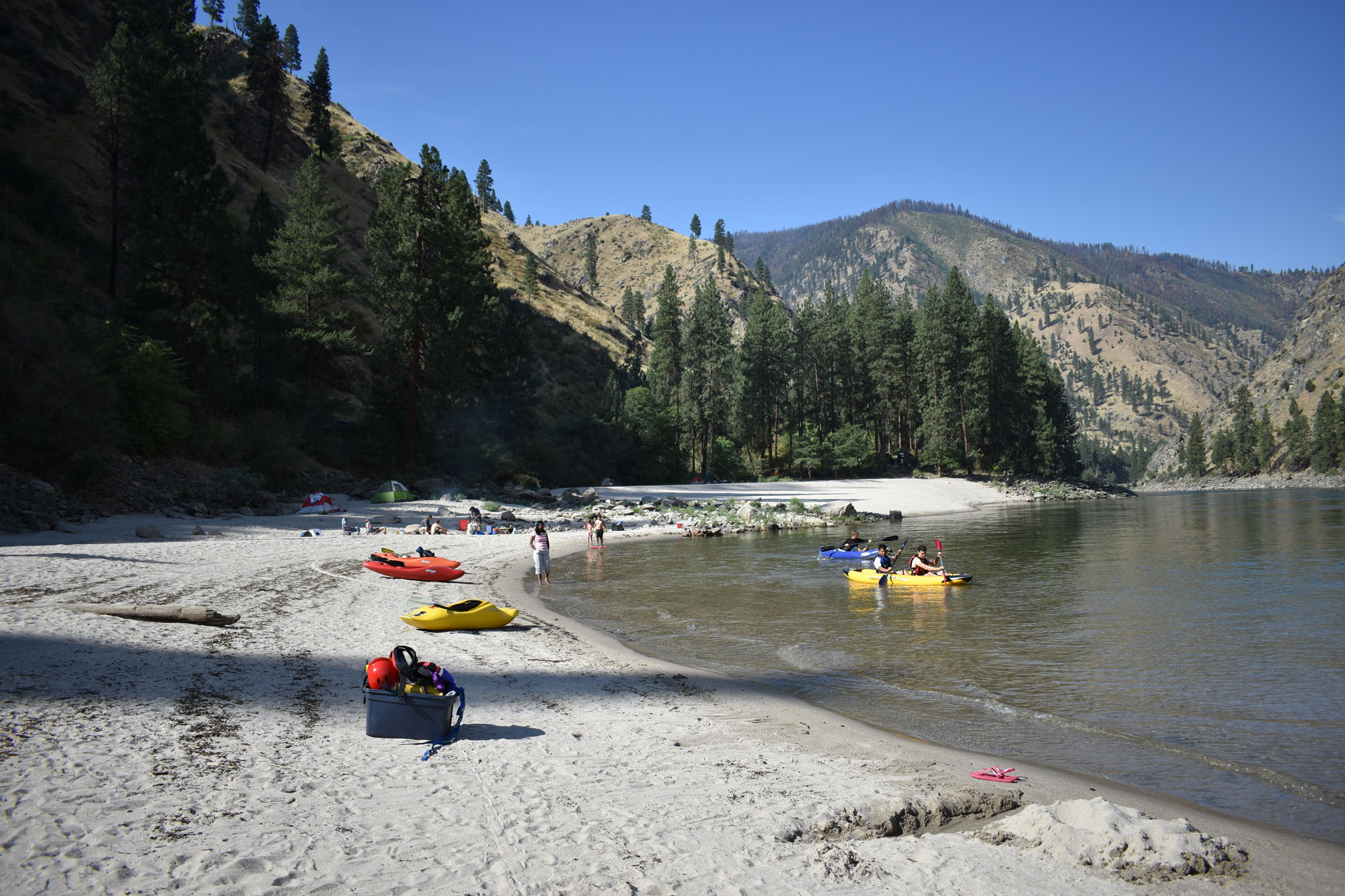 The Team (contact) | Michael Knoblauch Lab | Washington State University