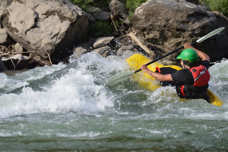 The Team (contact) | Michael Knoblauch Lab | Washington State University
