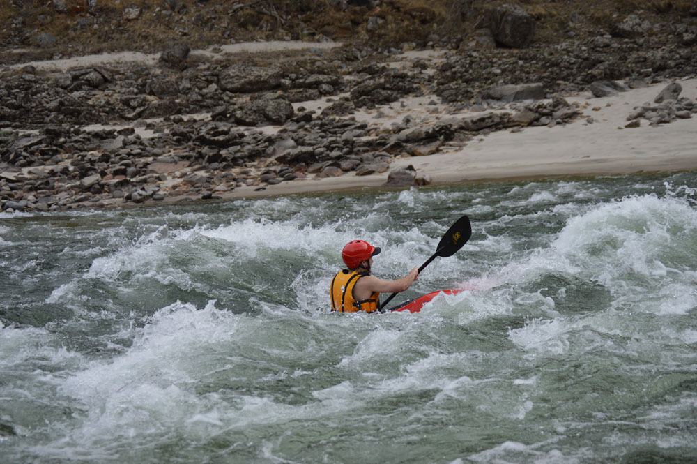 The Team (contact) | Michael Knoblauch Lab | Washington State University