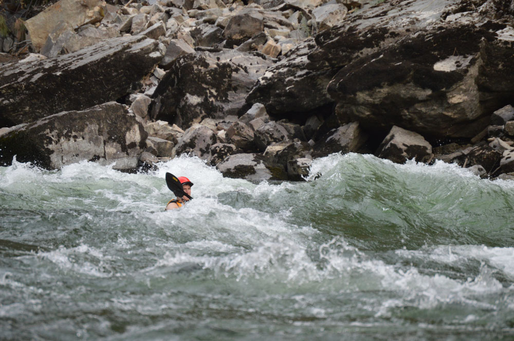 The Team (contact) | Michael Knoblauch Lab | Washington State University