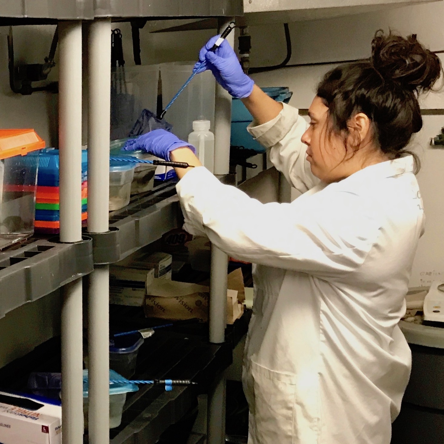 People | Brunner Lab | Washington State University