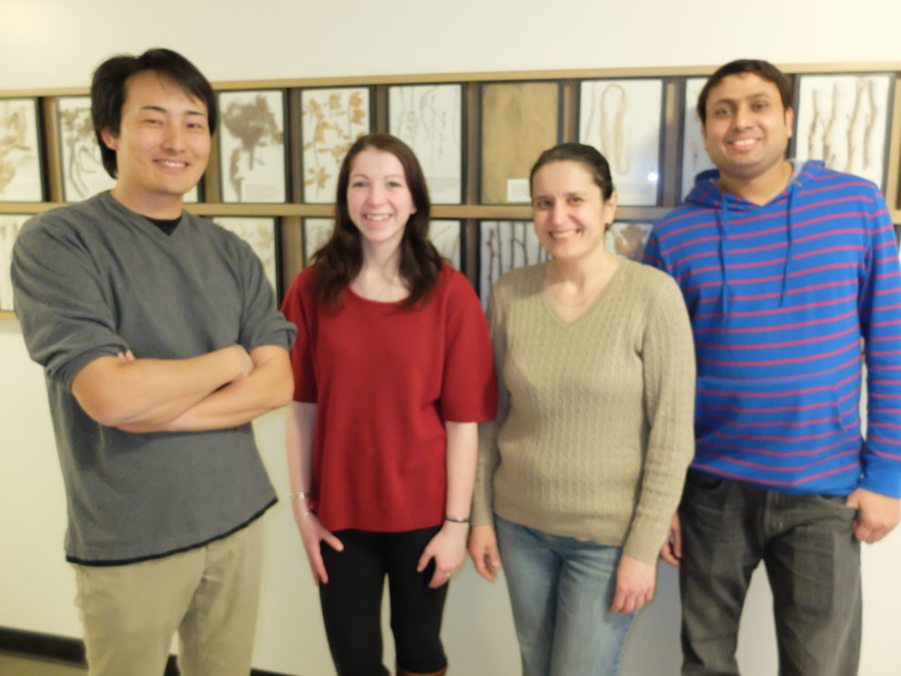 Lab News | Tanaka Lab | Washington State University