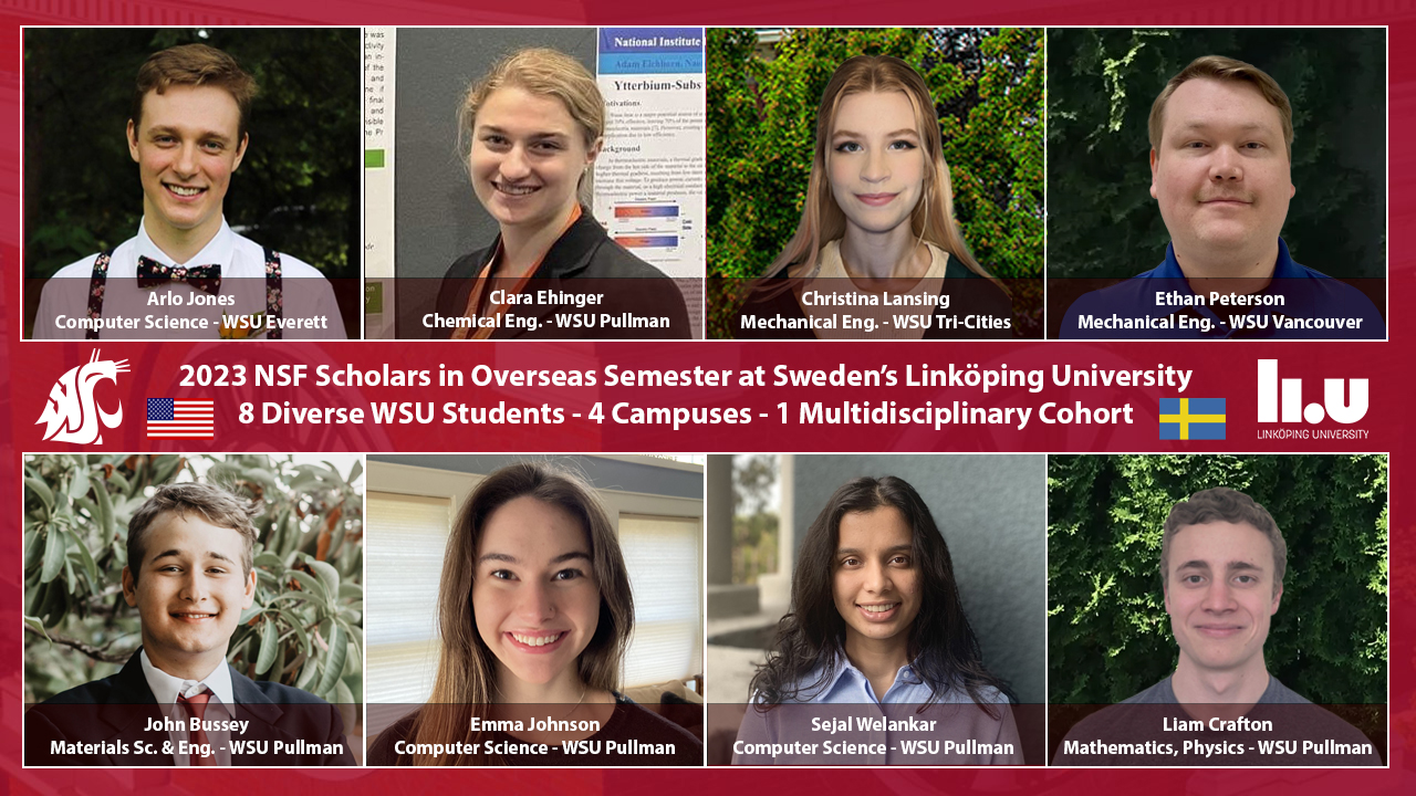 STARS: Students in Training, Advancement, Research Semesters | WSU ...