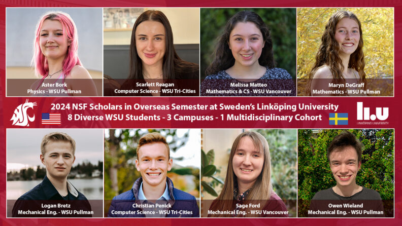 International Mathematics Collaboration Opportunities | WSU Europe ...