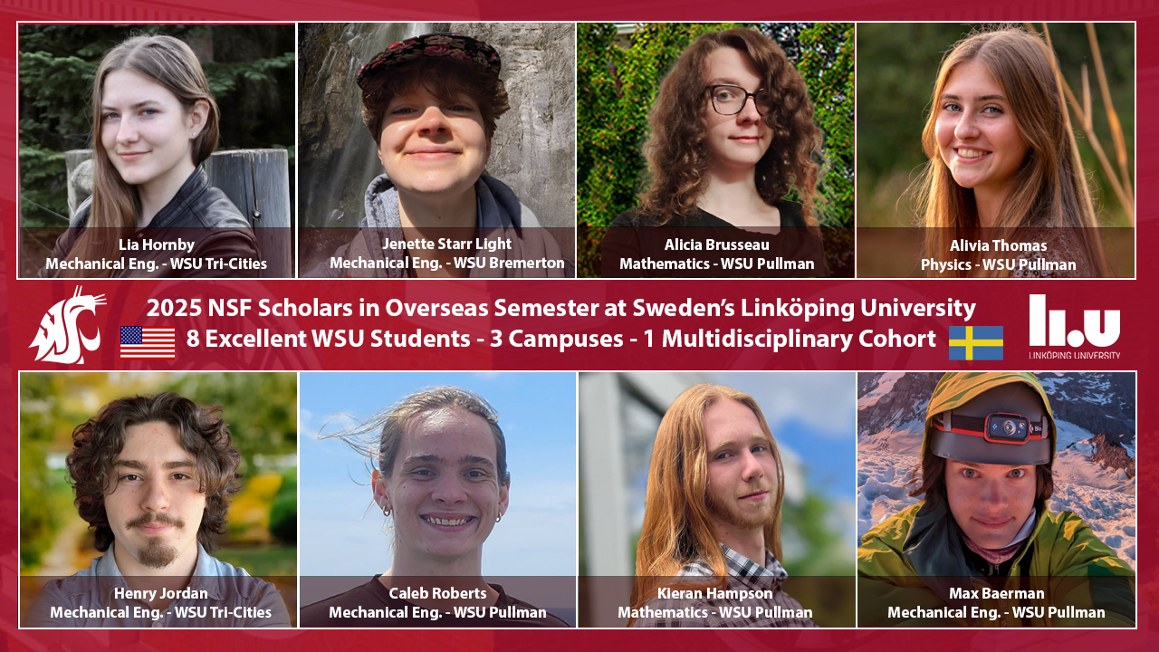 STARS: Students in Training, Advancement, Research Semesters | WSU ...