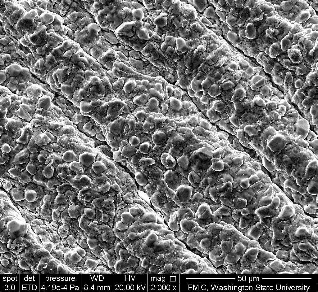 Advanced Manufacturing Lab | Washington State University