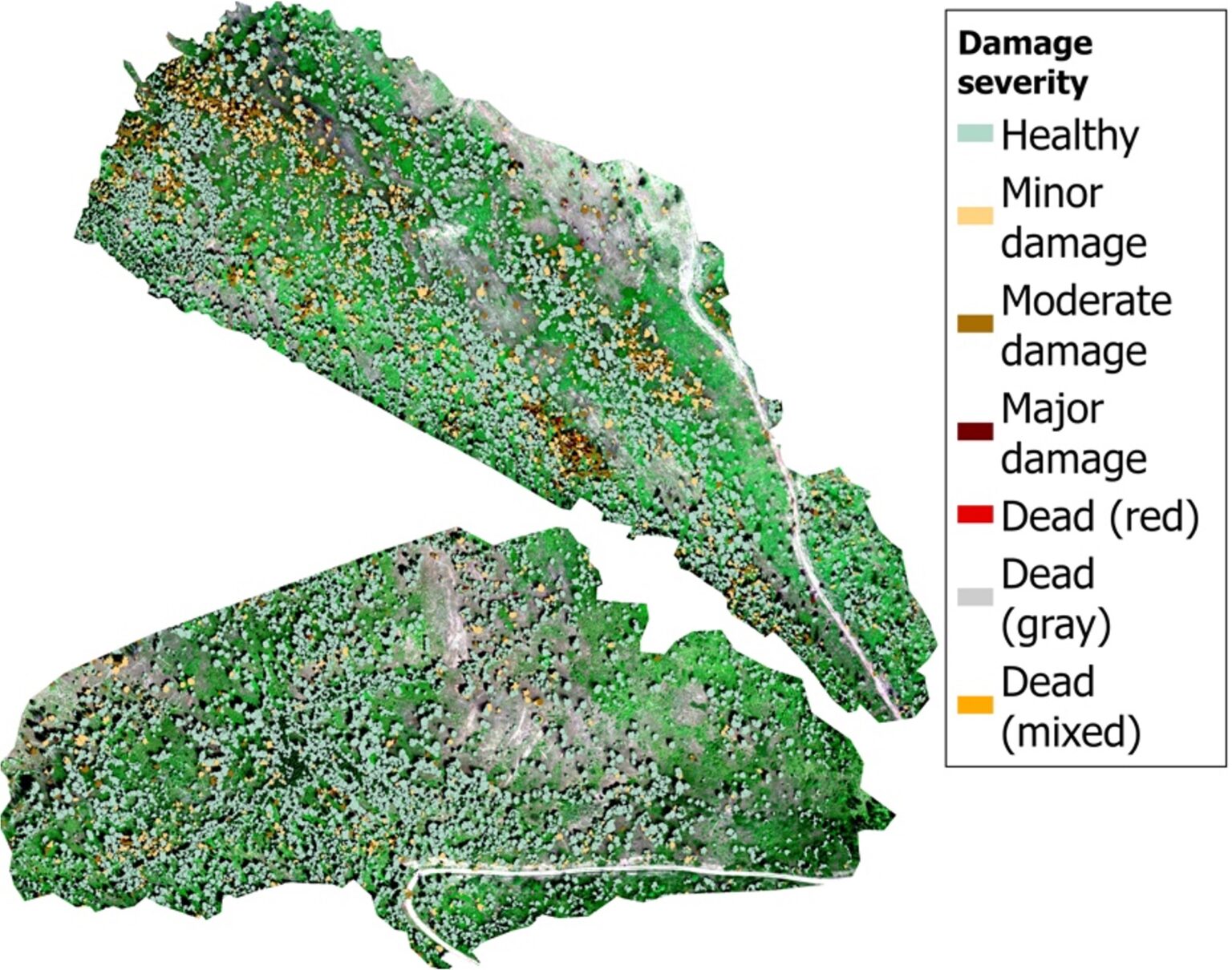 Detecting Insect Disturbance Using High Resolution Satellite Data ...