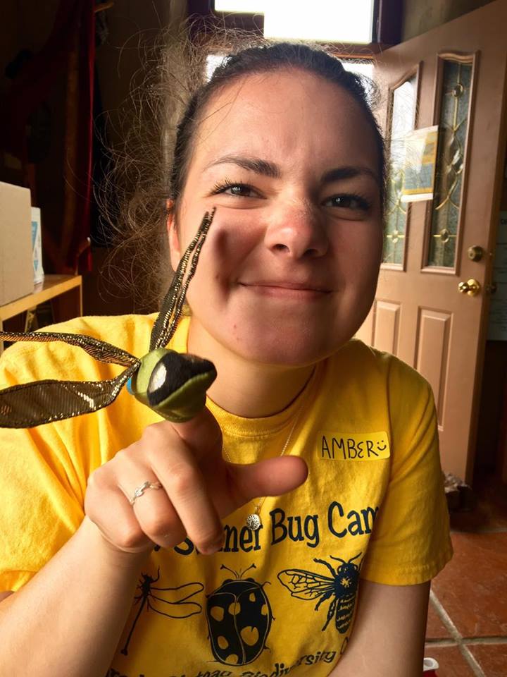 2016 Bug Camp – Colorado Plateau Museum of Arthropod Biodiversity ...