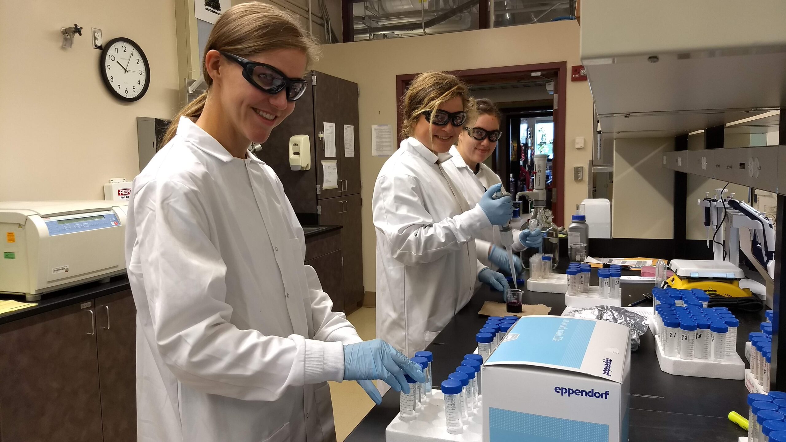 Soil Health Lab | WSU NWREC | Washington State University