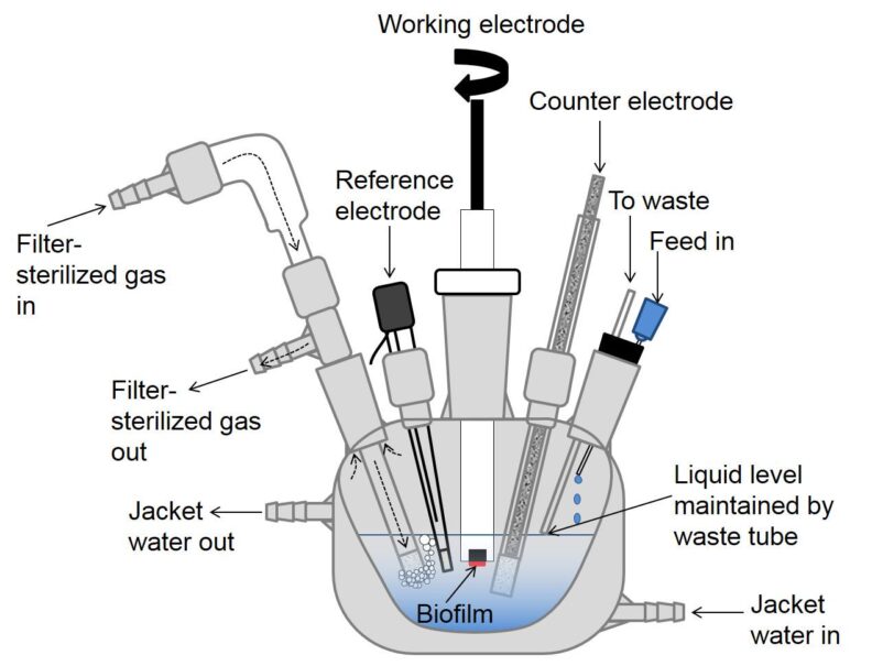 Electrochemically Active Biofilms | The Biofilm Engineering Research ...