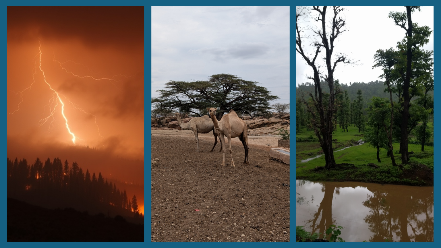 Climate Extremes and Impacts Lab | Washington State University