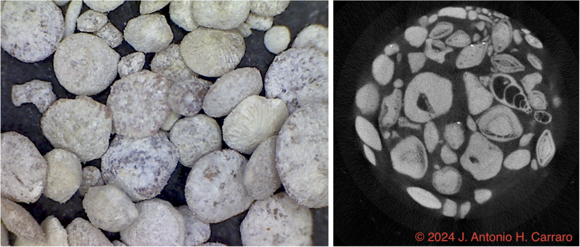 Geotechnical Engineering Laboratory | Washington State University