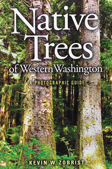 Native Trees of Western Washington | Washington State Magazine ...