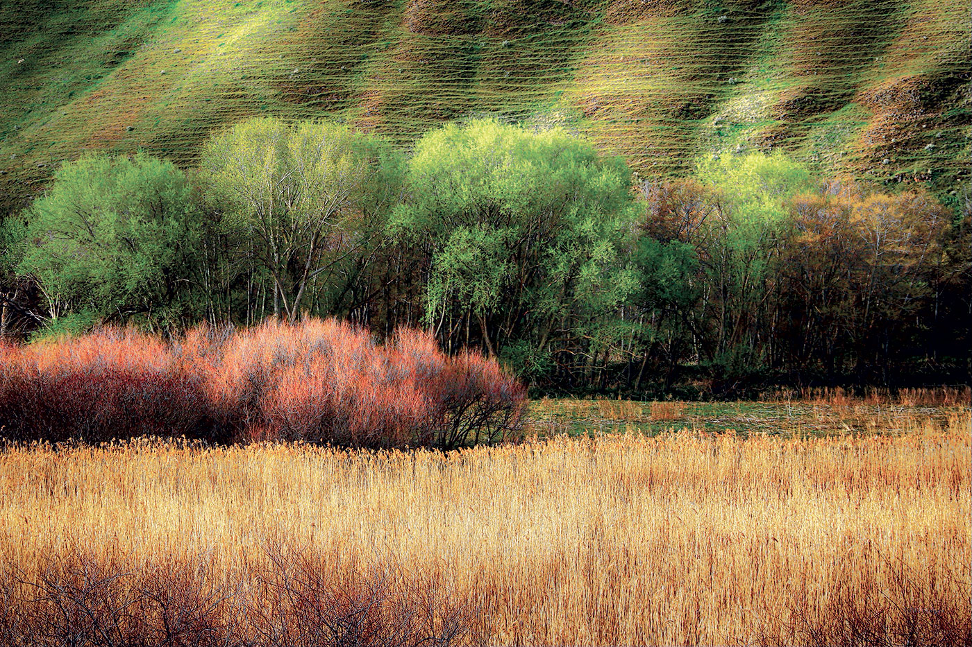 Digital magazine | Washington State Magazine | Washington State University