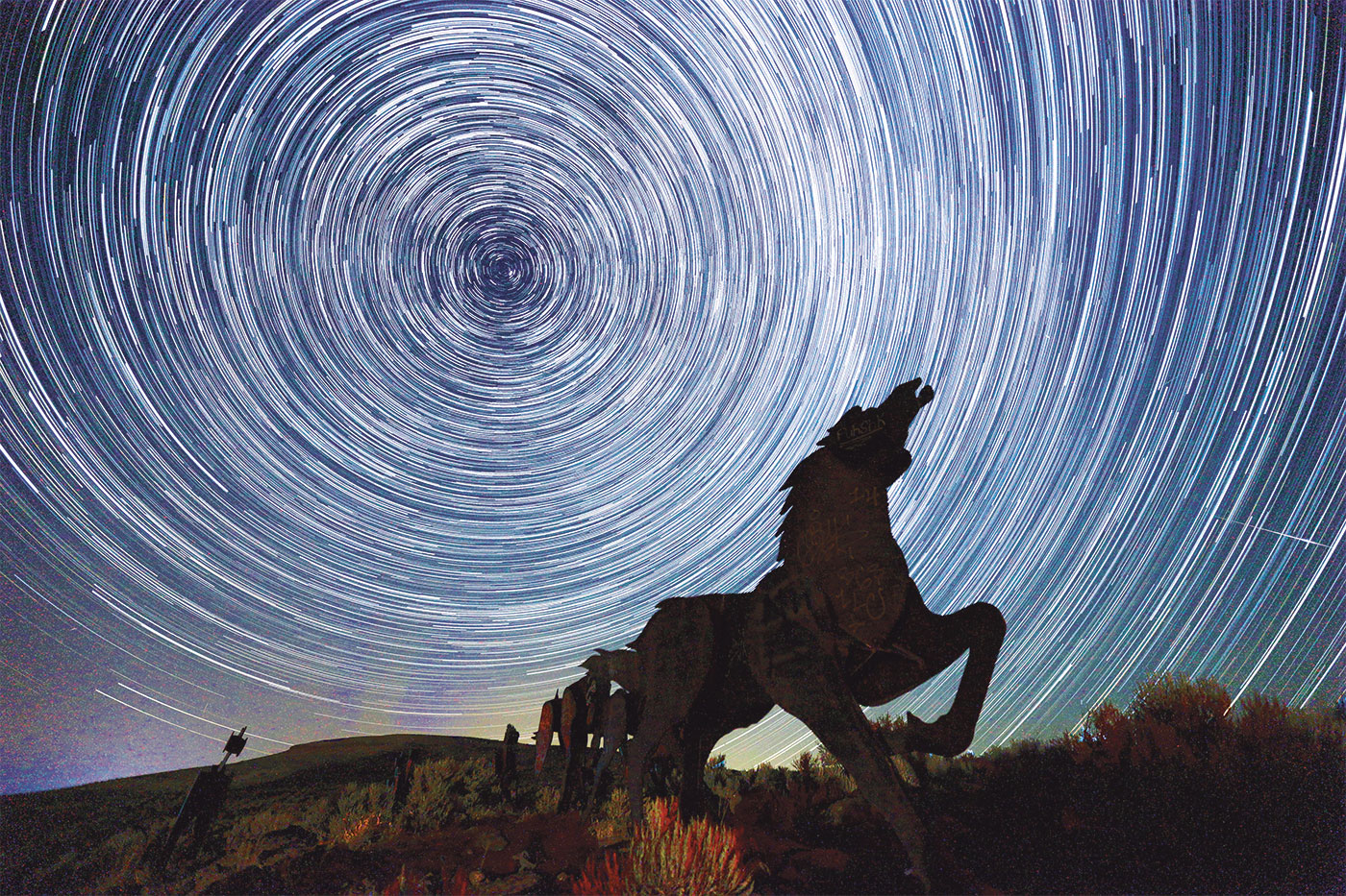 Summer 2016 | Washington State Magazine | Washington State University