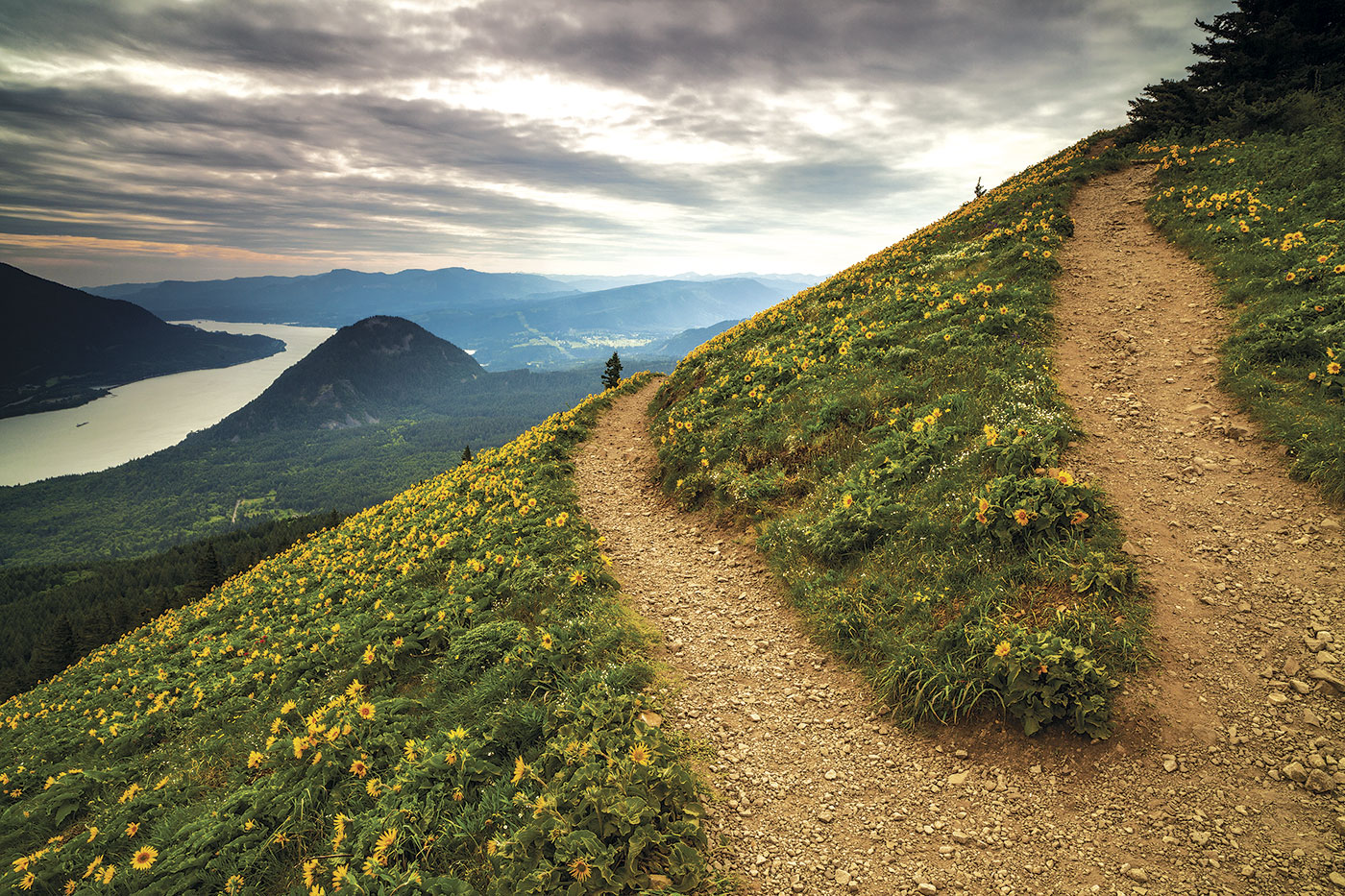 Digital magazine | Washington State Magazine | Washington State University