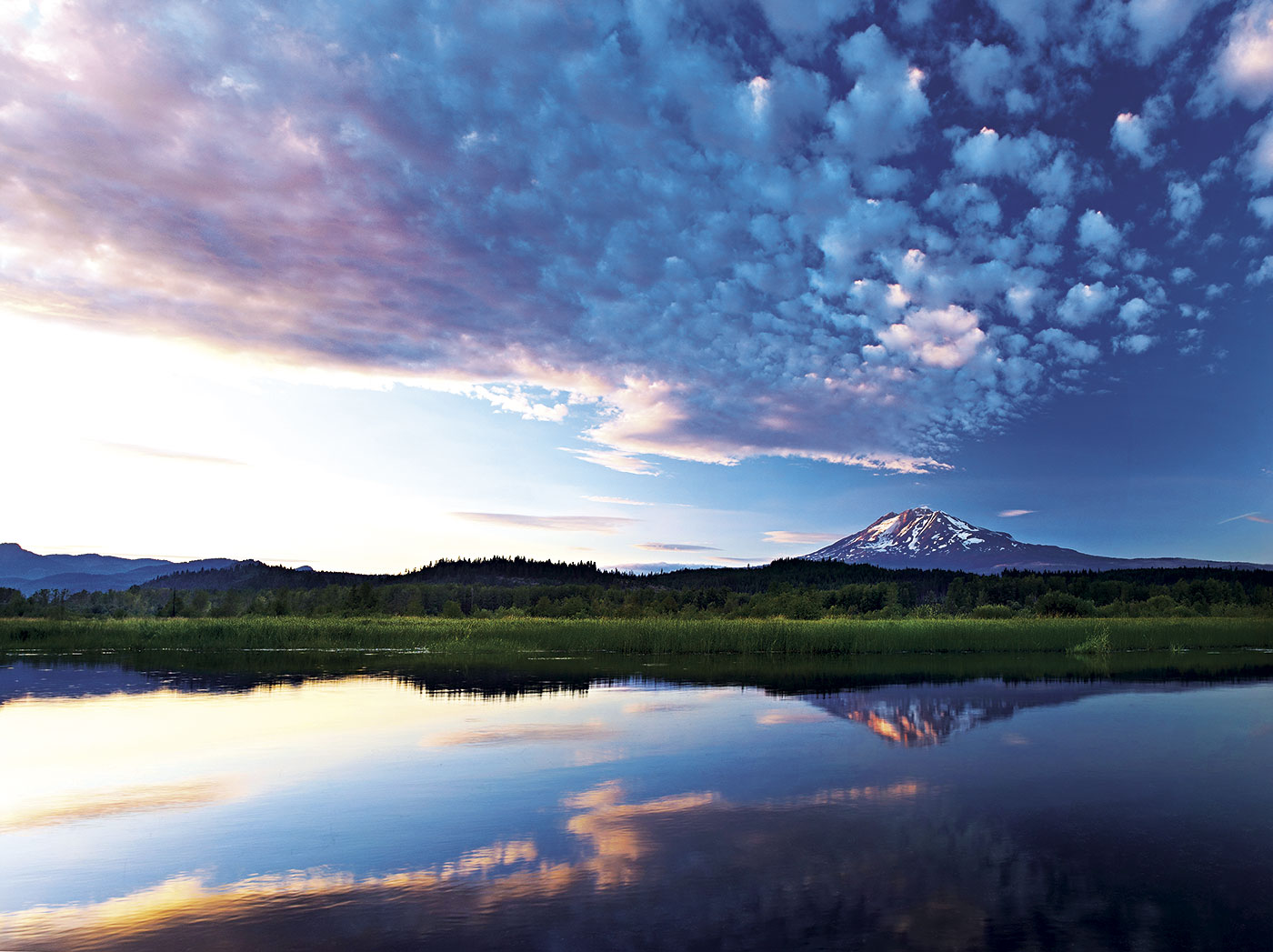 Digital magazine | Washington State Magazine | Washington State University