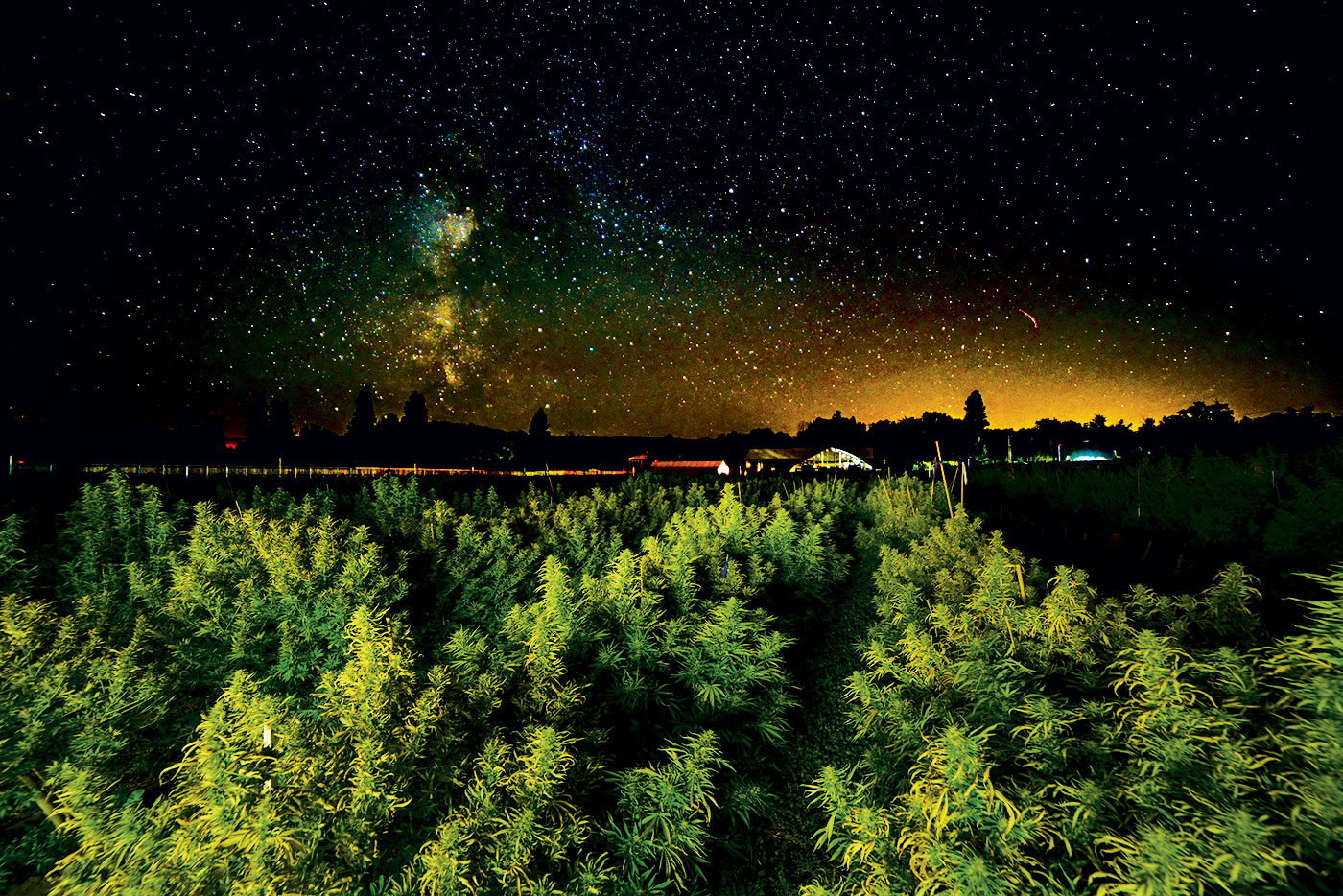 Digital magazine | Washington State Magazine | Washington State University