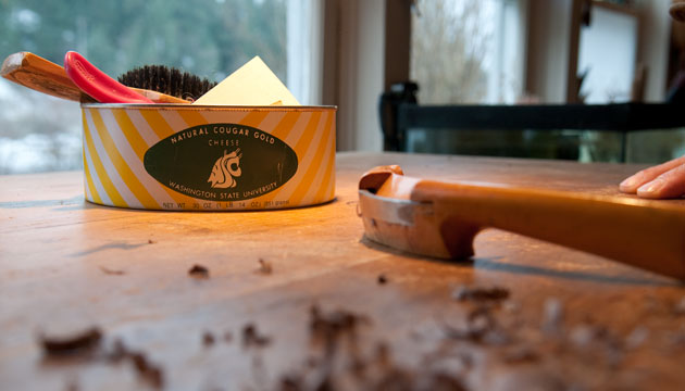 Gallery: John Elwood with canjos and other instruments in his studio ...