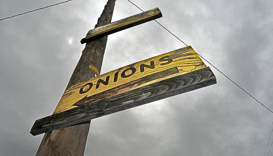 Gallery: Walla Walla Sweet Onions | Washington State Magazine ...