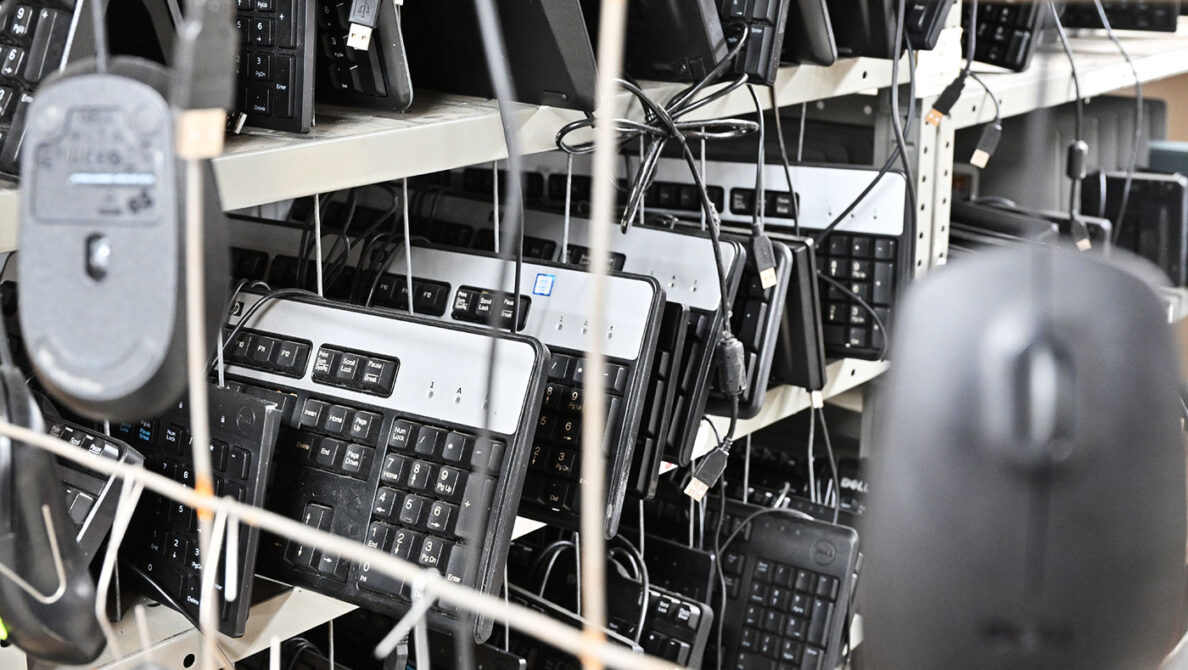 A surplus of surprises | Washington State Magazine | Washington State ...