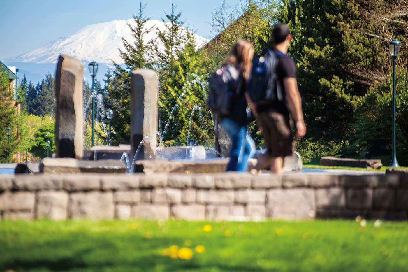 Volcano views | Washington State Magazine | Washington State University