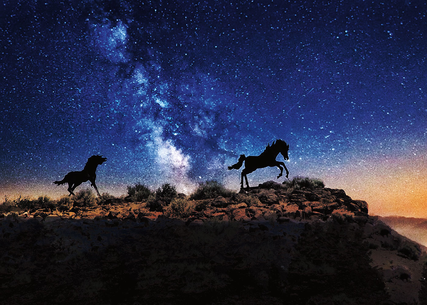 Digital magazine | Washington State Magazine | Washington State University