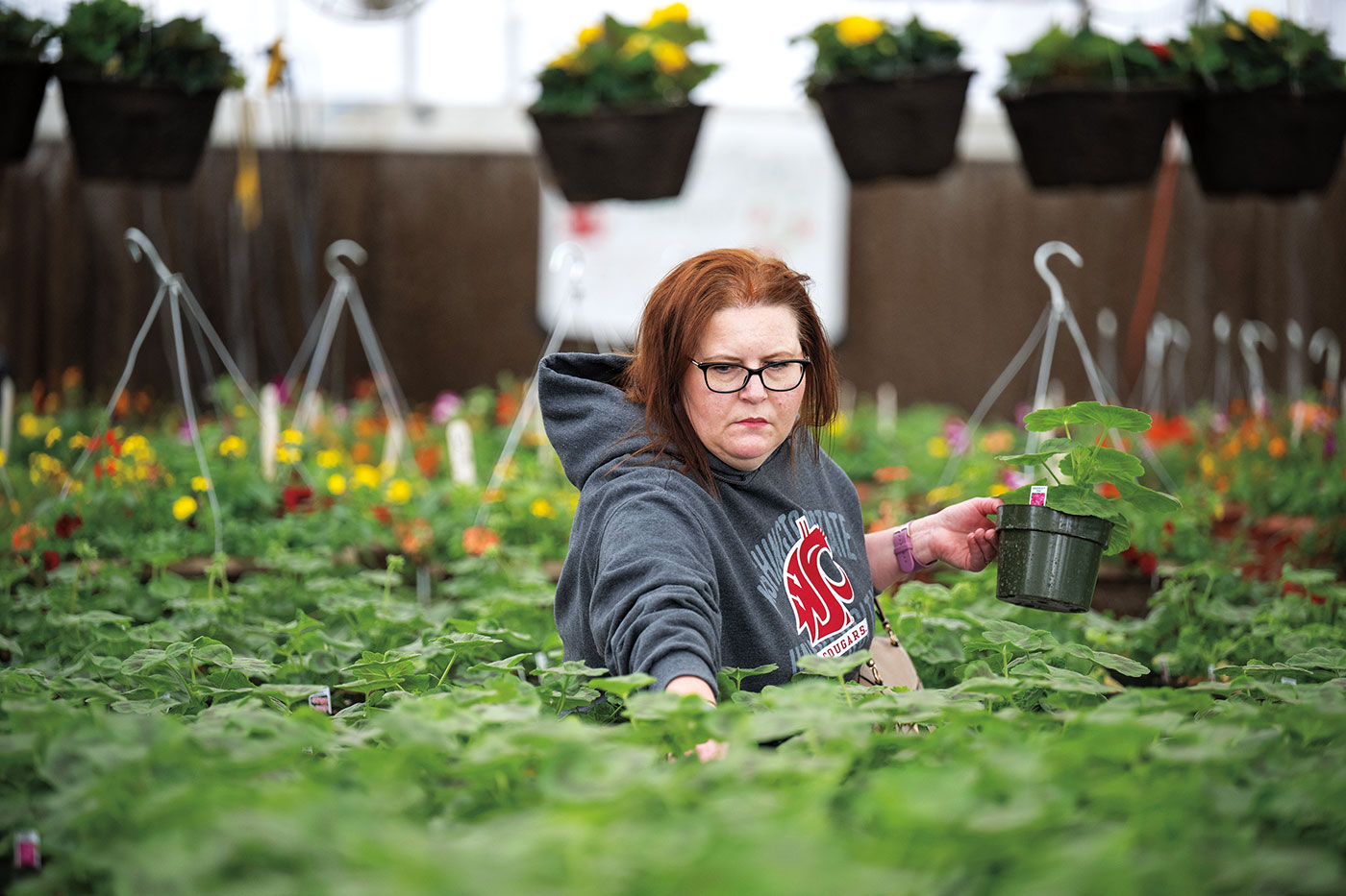 Getting growing | Washington State Magazine | Washington State University