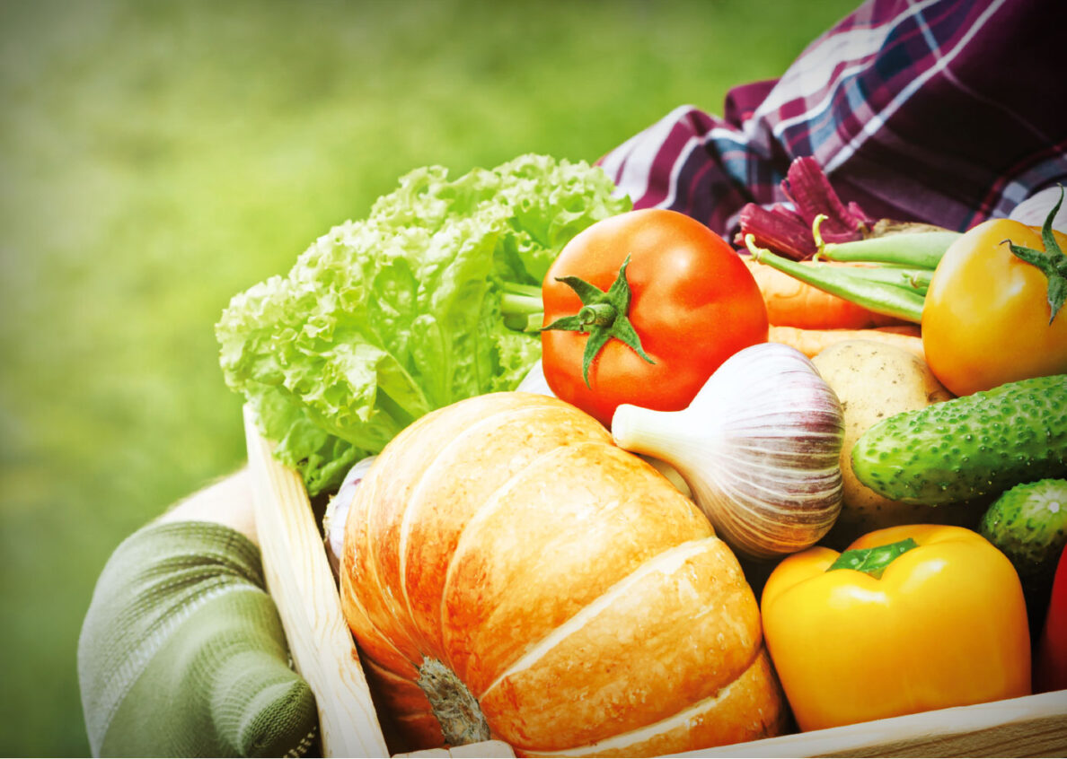 Digital magazine | Washington State Magazine | Washington State University