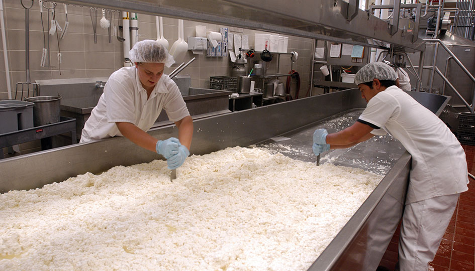 Gallery: The Cheesemaking Process at WSU Creamery | Washington State ...