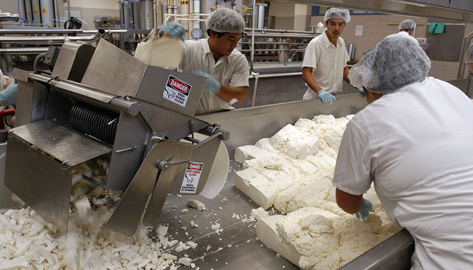 Gallery: The Cheesemaking Process at WSU Creamery | Washington State ...