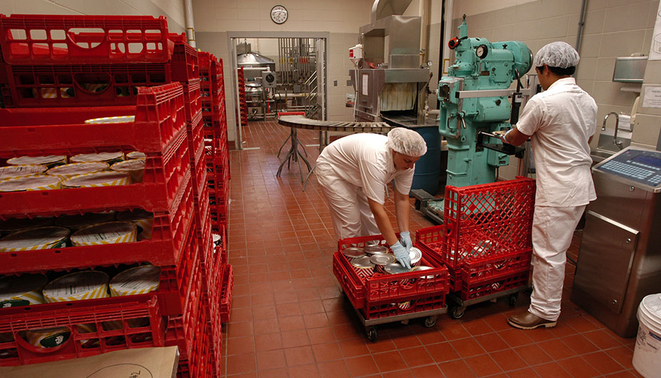 Gallery: The Cheesemaking Process at WSU Creamery | Washington State ...