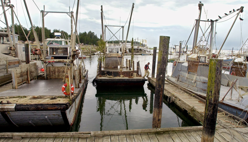 Gallery: Willapa Bay | Washington State Magazine | Washington State ...