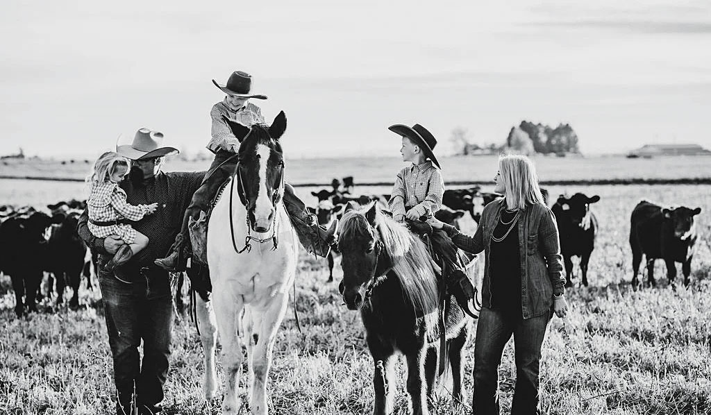 Too hot on the feedlot | Washington State Magazine | Washington State ...