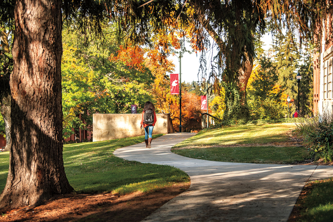 Digital magazine | Washington State Magazine | Washington State University