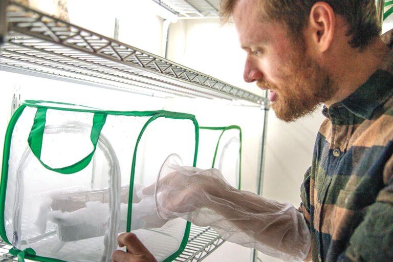 For one creature’s genome, time flies | Washington State Magazine ...