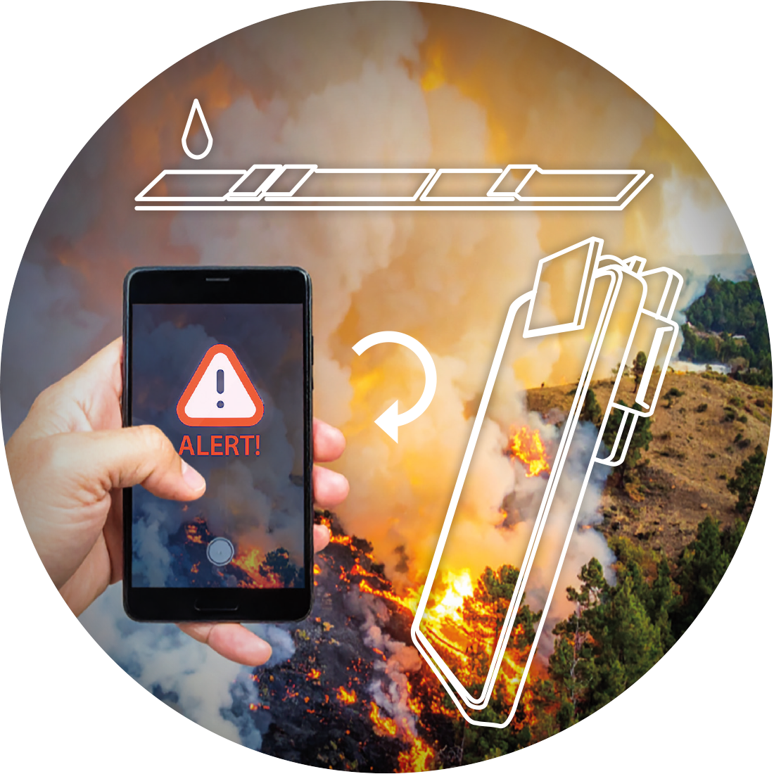 A personal smoke detector | Washington State Magazine | Washington ...