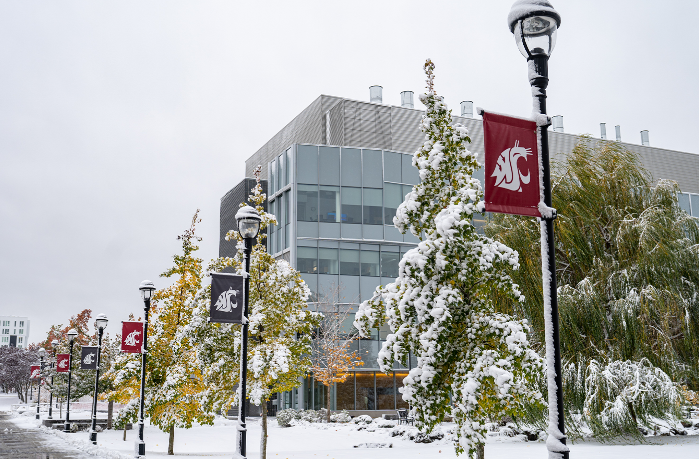 WSU Spokane Launches New News Site and Submission Process | Elson S ...