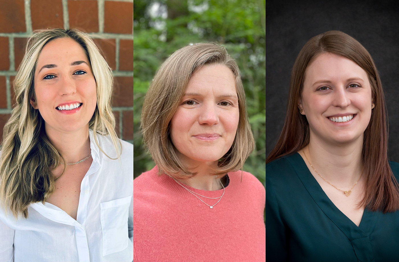 Three College of Medicine Faculty Awarded WSU Seed Funding | Elson S ...