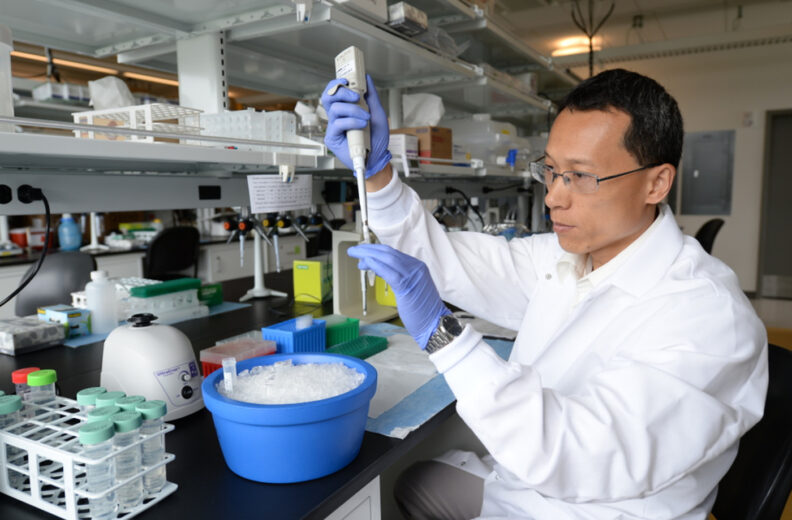 From Culture Dish to Patient Care: College of Medicine Researchers Help ...