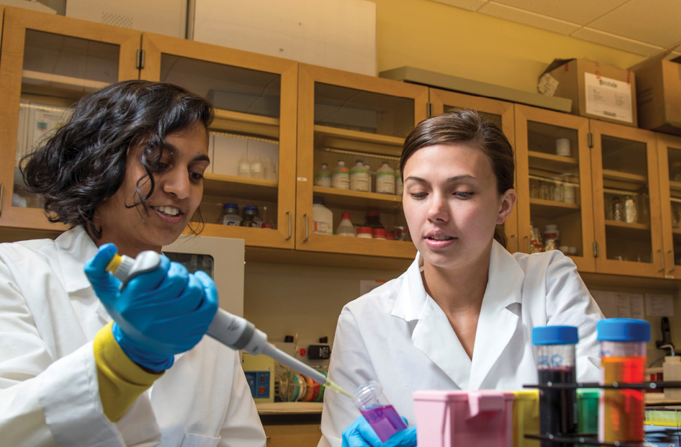Research Funding Opportunity: WSU President’s Big Ideas Initiative ...