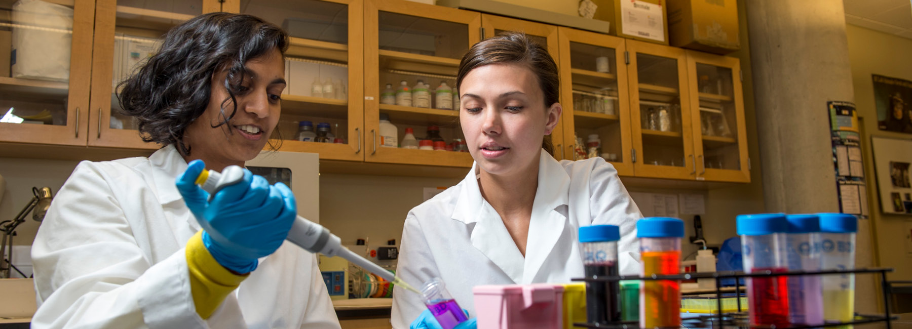 Cancer: Mechanisms and Treatments | Elson S. Floyd College of Medicine ...