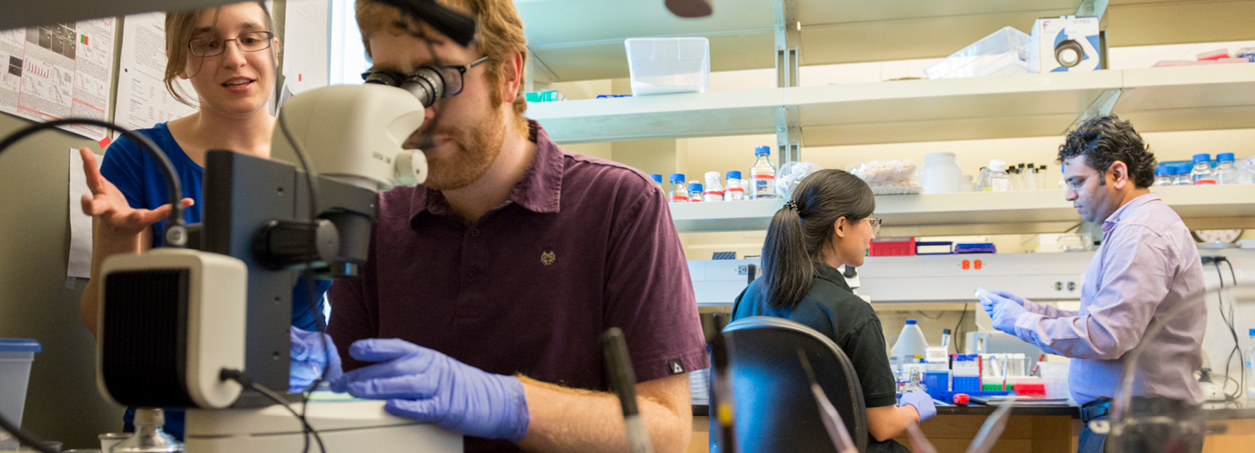 Translational Medicine and Physiology | Elson S. Floyd College of ...