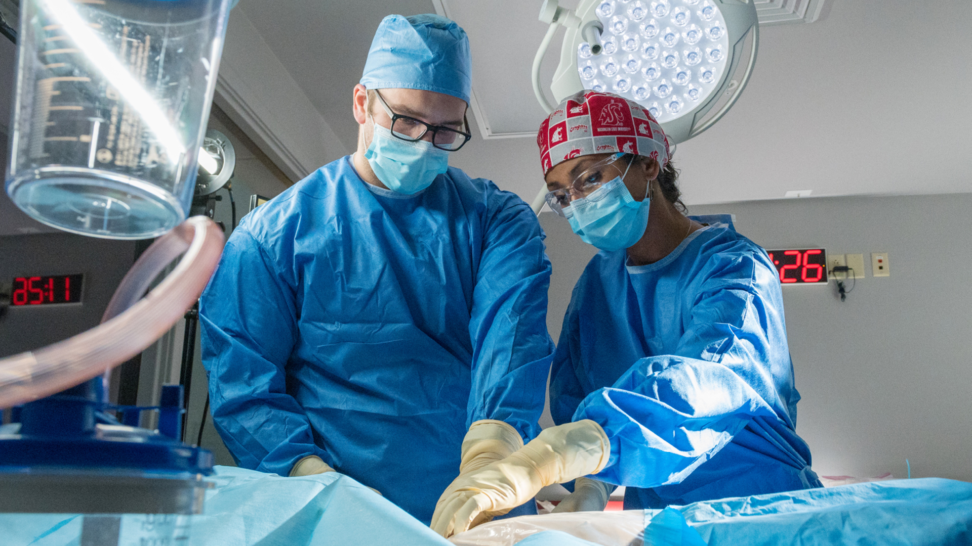 Medical Education and Clinical Sciences | Elson S. Floyd College of ...