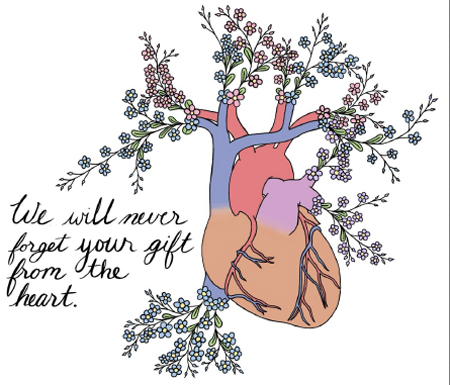 Willed Body Program | Elson S. Floyd College of Medicine | Washington ...