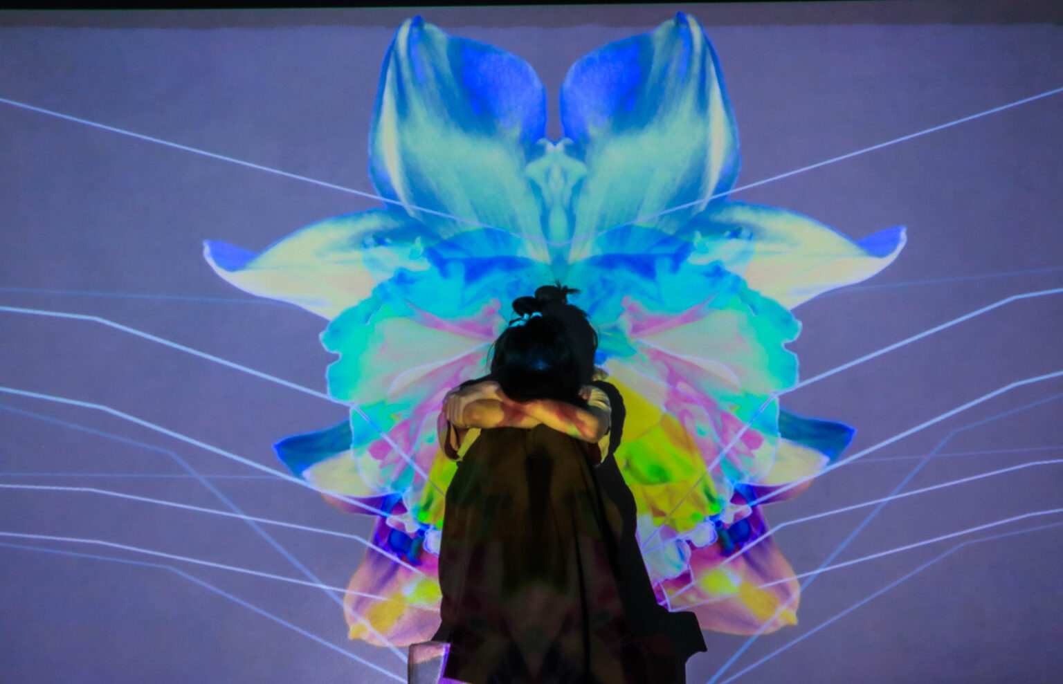 Exhibitions Archive | Jordan Schnitzer Museum of Art WSU | Washington ...